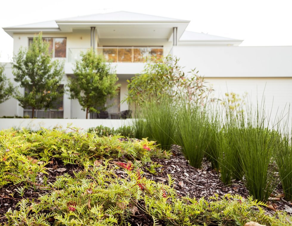 Hunter Landscape Design | Landscape designer Perth