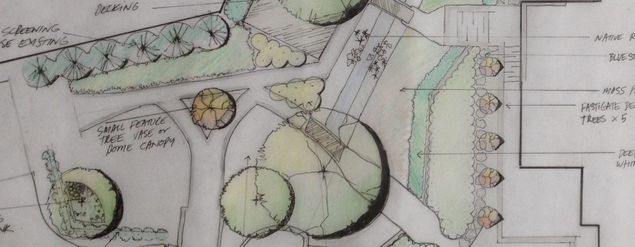 Elevate Your Landscape🌿|Hunter Landscape Design Consultation