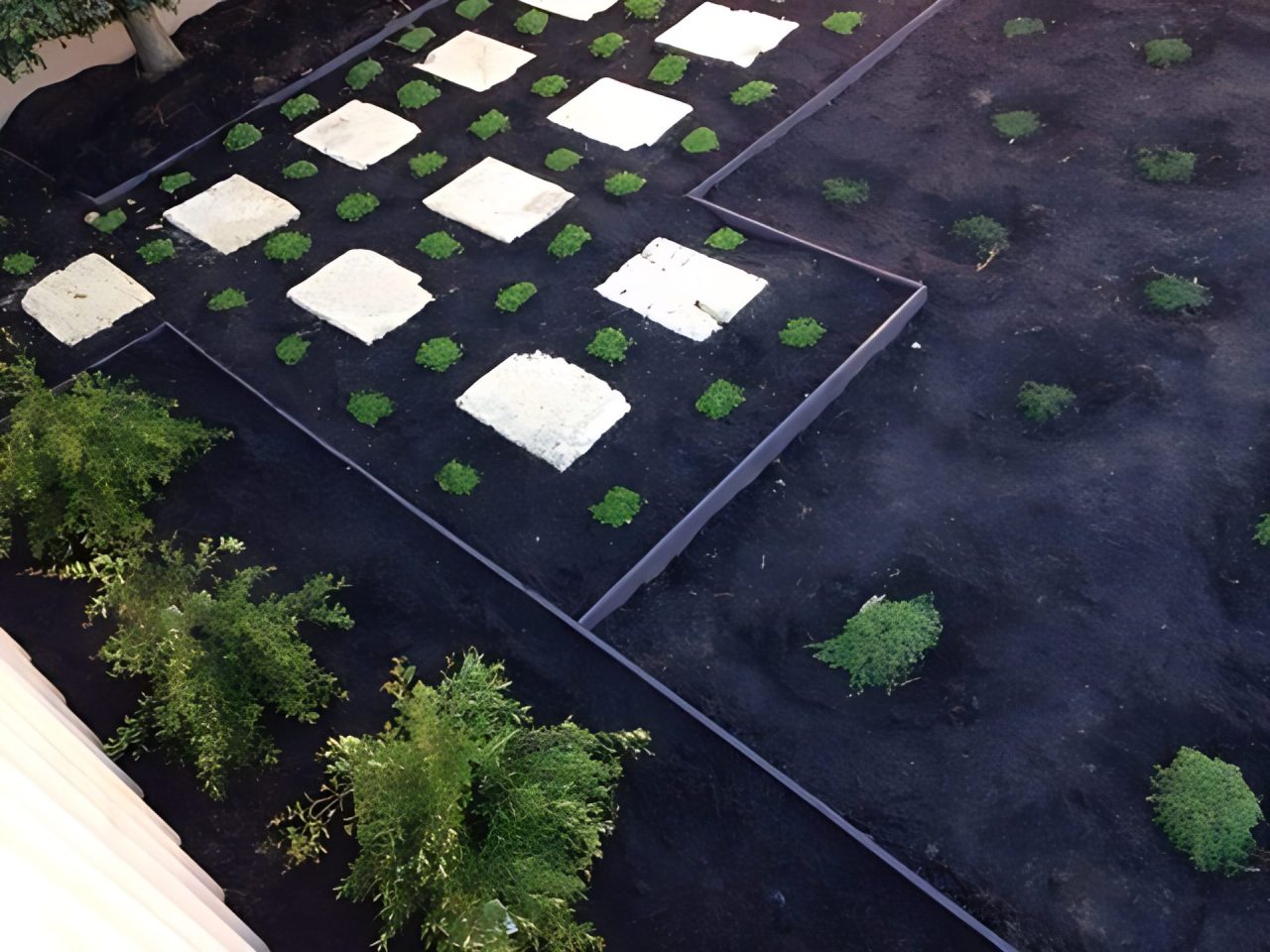 Hunter Landscape Design - Crafting Outdoor Dreams 🌿